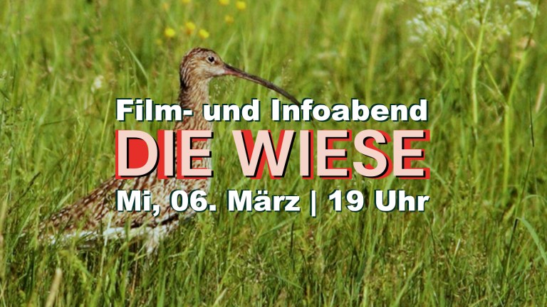 Die Wiese lebt! – Vissel for future